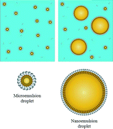 Nanoemulsions versus microemulsions: terminology, differences, and ...