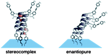 Vertical orientation with a narrow distribution of helical peptides ...