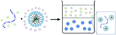 Counter-ion effect on surfactant–DNA gel particles as controlled DNA ...