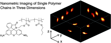 Conformational analysis of single polymer chains in three dimensions by ...