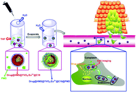 Facile preparation of coating fluorescent hollow mesoporous silica ...