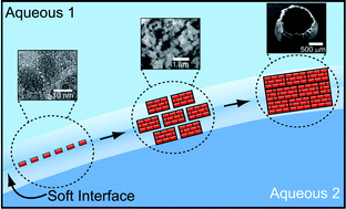 Hierarchical materials synthesis at soft all-aqueous interfaces - Soft ...