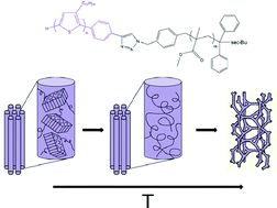 Cylinder-to-gyroid phase transition in a rod–coil diblock copolymer ...