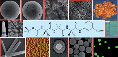 Multilayer vesicles, tubes, various porous structures and organo gels ...