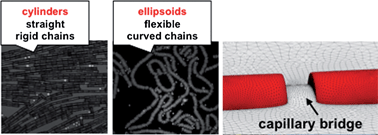 Capillary bond between rod-like particles and the micromechanics of ...