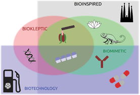 Innovation through imitation: biomimetic, bioinspired and biokleptic ...