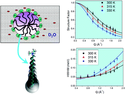 The dynamical landscape in CTAB micelles - Soft Matter (RSC Publishing)