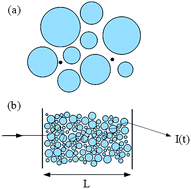 Probing the dynamics of particles in an aging dispersion using ...