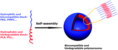 Biocompatible and biodegradable polymersomes as delivery vehicles in ...