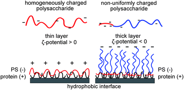 Mixed protein–polysaccharide interfacial layers: effect of ...