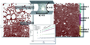 Interfacial polymer phase segregation and self-assembly of square ...
