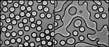 Exploring emulsion science with microfluidics - Soft Matter (RSC ...