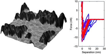 AFM adhesion imaging for the comparison of polyelectrolyte complexes ...