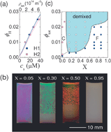 Phase separation in binary colloids with charge asymmetry - Soft Matter ...