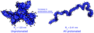 Structural and dynamical properties of polyethylenimine in explicit ...