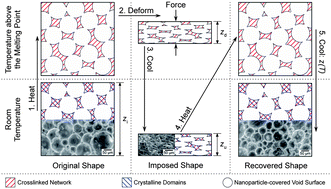Shape memory polymer foams from emulsion templating - Soft Matter (RSC ...