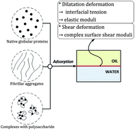 Surface rheological properties of liquid–liquid interfaces stabilized ...