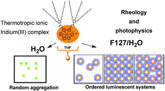 Thermotropic iridium(III)-based liquid crystal in amphiphilic ...