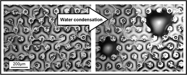 Morphology and stability of water condensation structures on a series ...