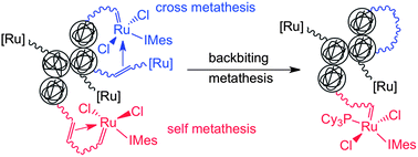 Polydicyclopentadiene aerogels grafted with PMMA: I. Molecular and ...