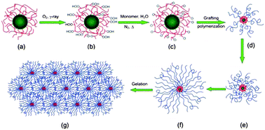 Investigation on the application of the TDGL equation in macromolecular ...