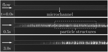 Structure evolution in electrorheological fluids flowing through ...