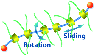 Structure and dynamics of polyrotaxane-based sliding graft copolymers ...