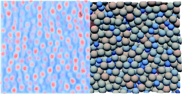 A novel particle tracking method with individual particle size ...
