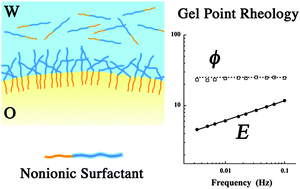 Dilatational rheology of a gel point network formed by nonionic soluble ...