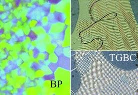 Frustrated phases induced in binary mixtures of hockey-stick and chiral ...