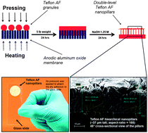 Enhanced adhesion and friction by electrostatic interactions of double ...