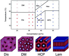 Phase transitions in concentrated solution self-assembly of globular ...