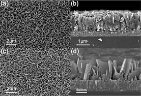 Nanosheet array assembled by TiO2 nanocrystallites with {116} facets ...