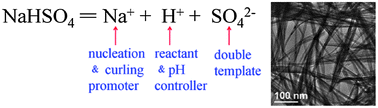 Formation of WO3 nanotube-based bundles directed by NaHSO4 and its ...