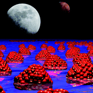 Naturally occurring iron oxide nanoparticles: morphology, surface ...
