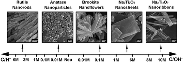 Phase and morphological transitions of titania/titanate nanostructures ...