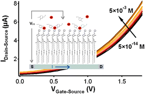 Label free femtomolar electrical detection of Fe(iii) ions with a ...