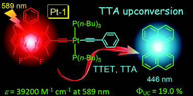 Red-light excitable fluorescent platinum(ii) bis(aryleneethynylene) bis ...