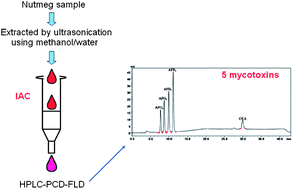 Simultaneous multi-mycotoxin determination in nutmeg by ultrasound ...