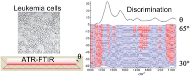 Ftir Spectroscopy Advancements In Medical Research: Exploring Fourier