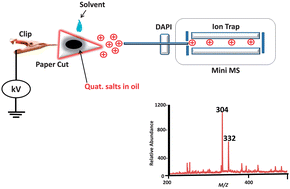 In situ analysis of corrosion inhibitors using a portable mass ...