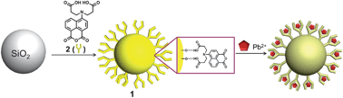 A thin-layered chromatography plate prepared from naphthalimide-based ...