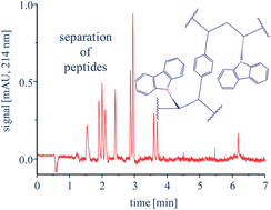 Monolithic poly(N-vinylcarbazole-co-1,4-divinylbenzene) capillary ...