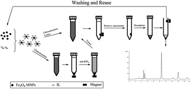 Dispersive micro-solid phase extraction based on self-assembling, ionic ...