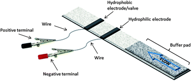An inkjet-printed electrowetting valve for paper-fluidic sensors ...