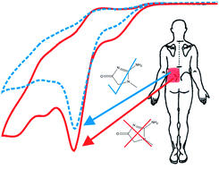 An improved electrochemical creatinine detection method via a Jaffe ...