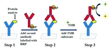 Predicting detection limits of enzyme-linked immunosorbent assay (ELISA ...