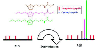 Imidazolium-based iodoacetamide functional tags: design, synthesis, and ...