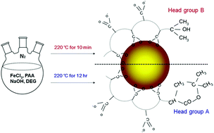 Protein binding for detection of small changes on a nanoparticle ...