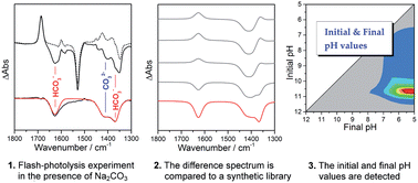 The carbonate/bicarbonate system as a pH indicator for infrared ...
